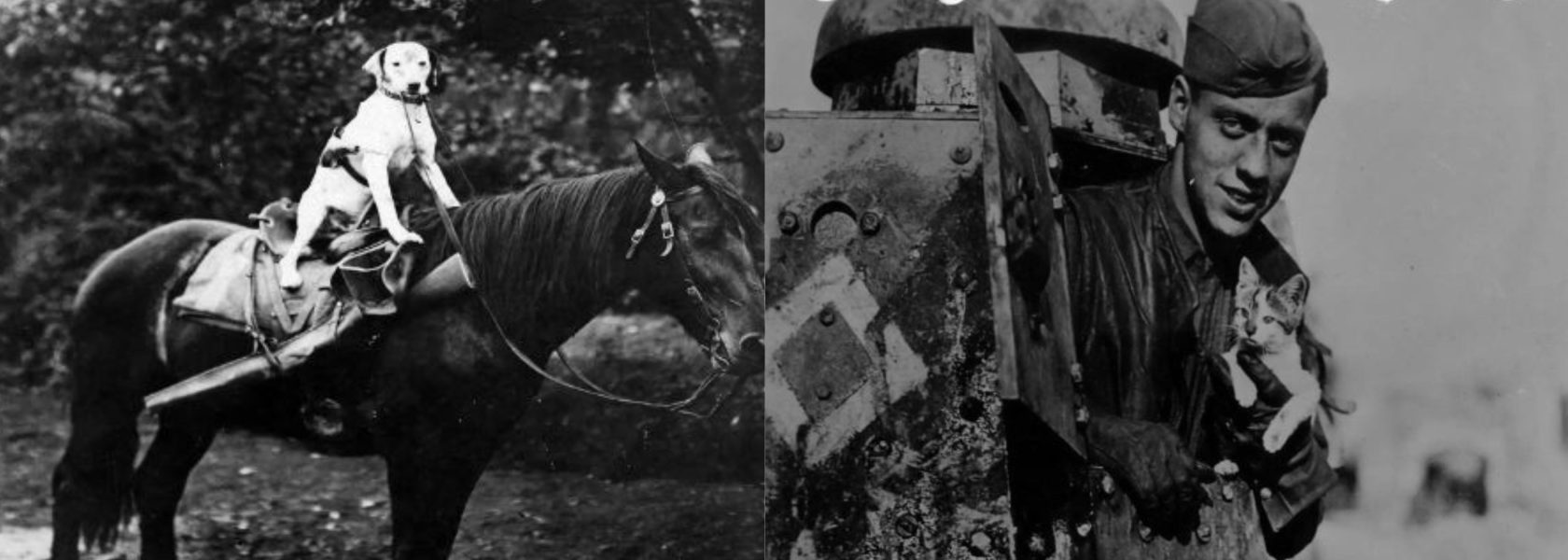 National Museum of the United States Army